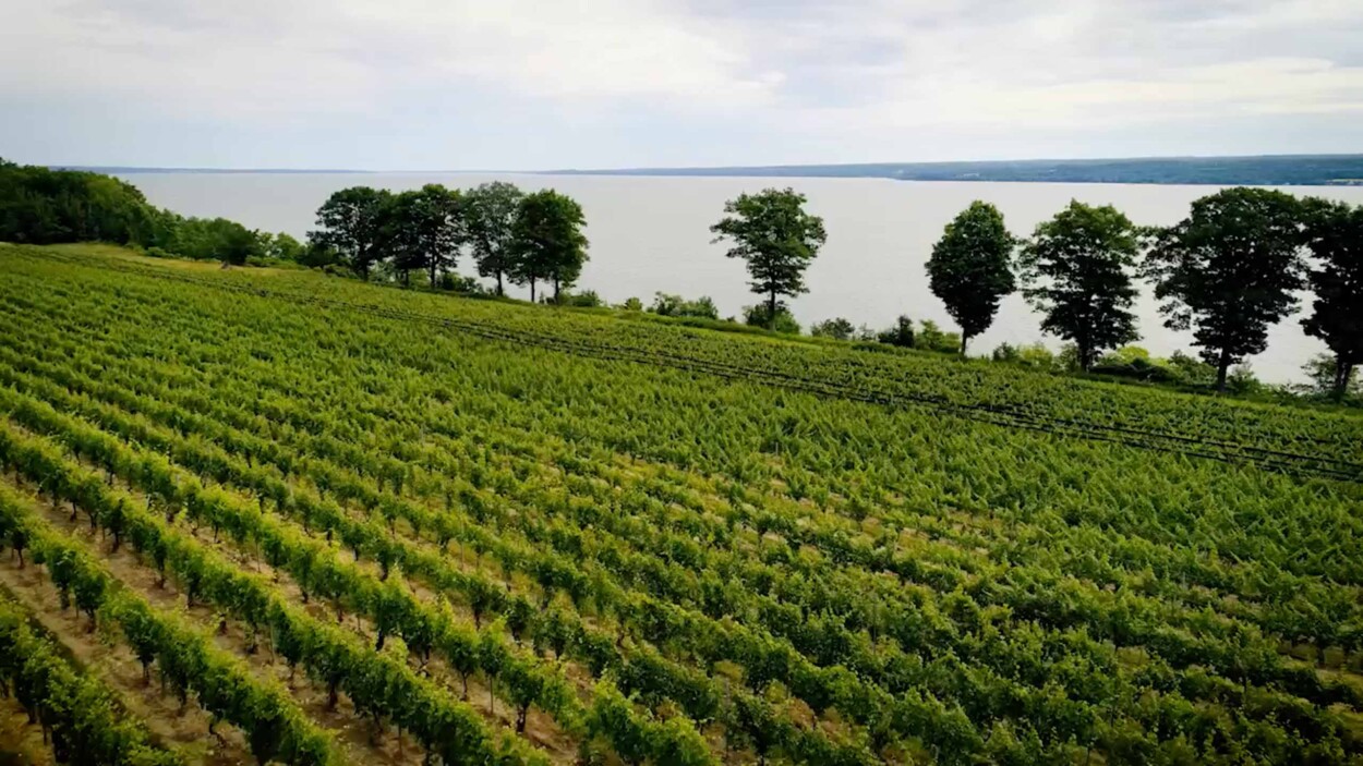 11 Summer Activities in the Ithaca Area - Ithaca Tompkins International ...